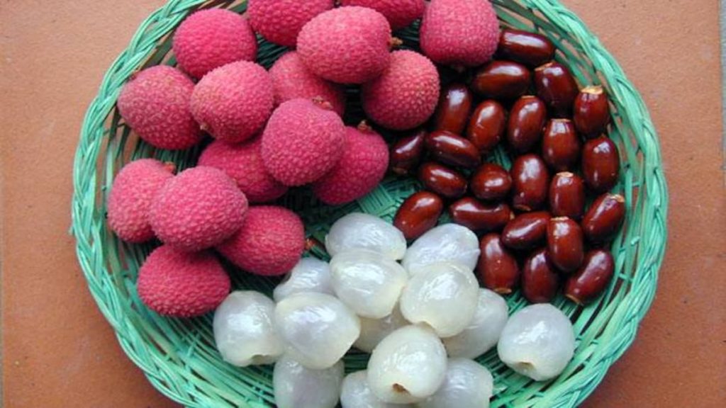 Lychees' Production in Australia (2019) - Orchard Tech