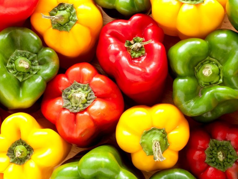Capsicum Production in Australia (2020) - Orchard Tech