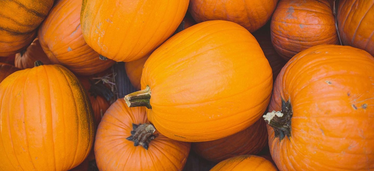 Pumpkins Growth and Production in Australia (2020) - Orchard Tech