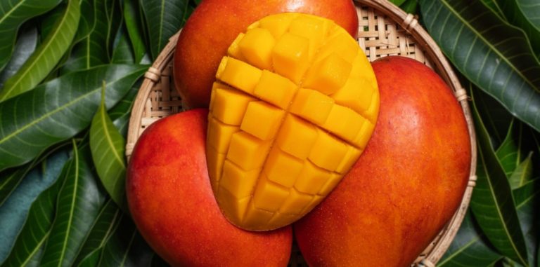 Mango Season Underway in Australia - Orchard Tech