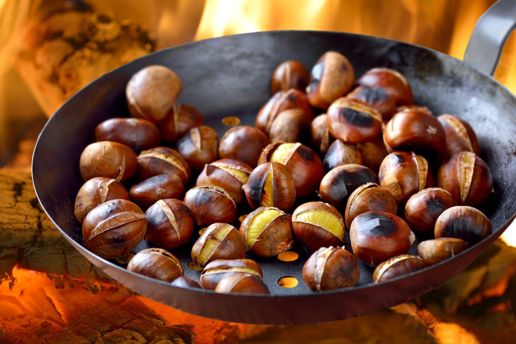 All About Chestnuts: A Thorough Overview - Orchard Tech