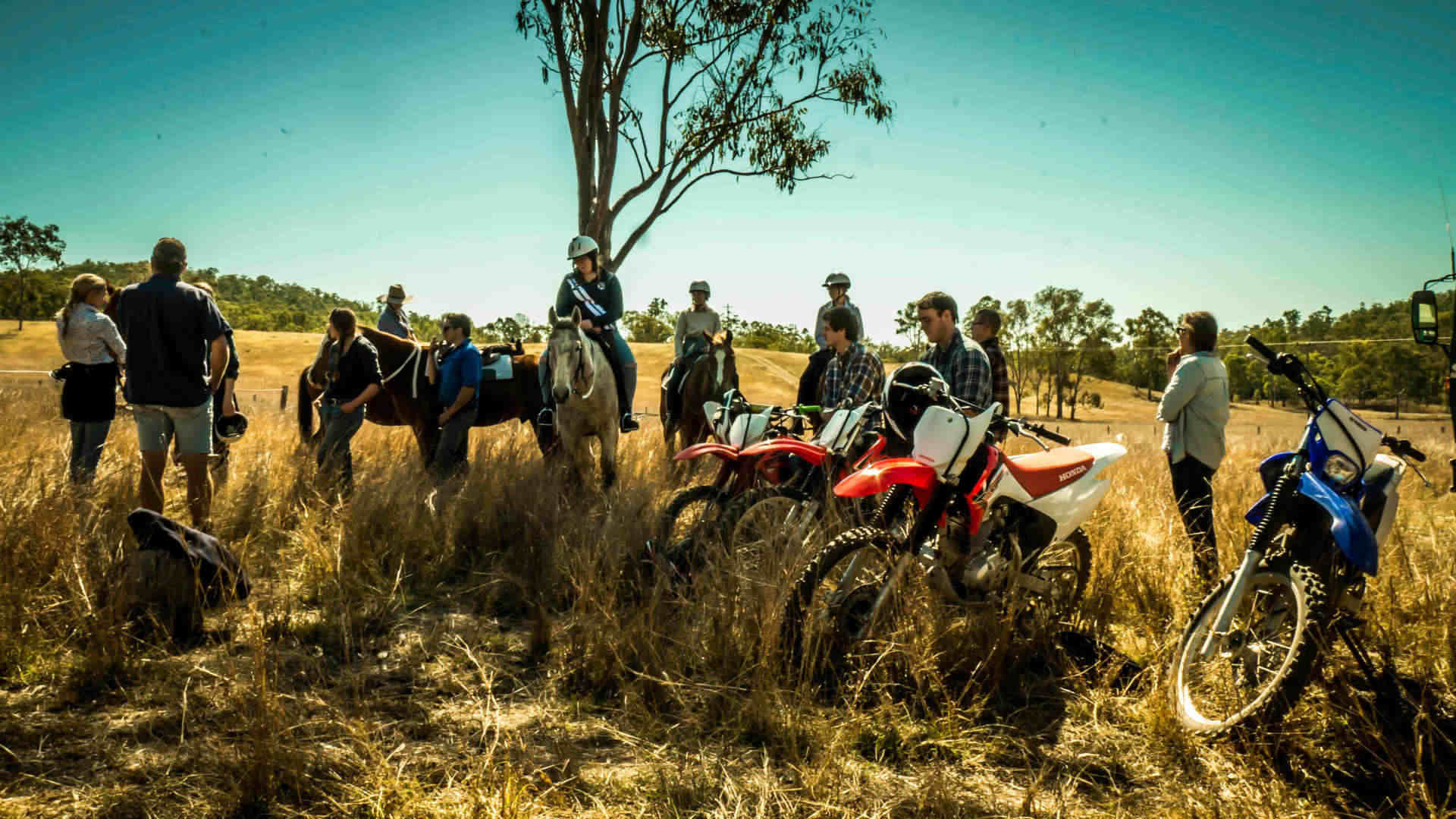 Farm Work in Australia - Orchard Tech