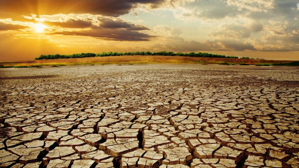 Australia's Recovery from Drought - Orchard Tech