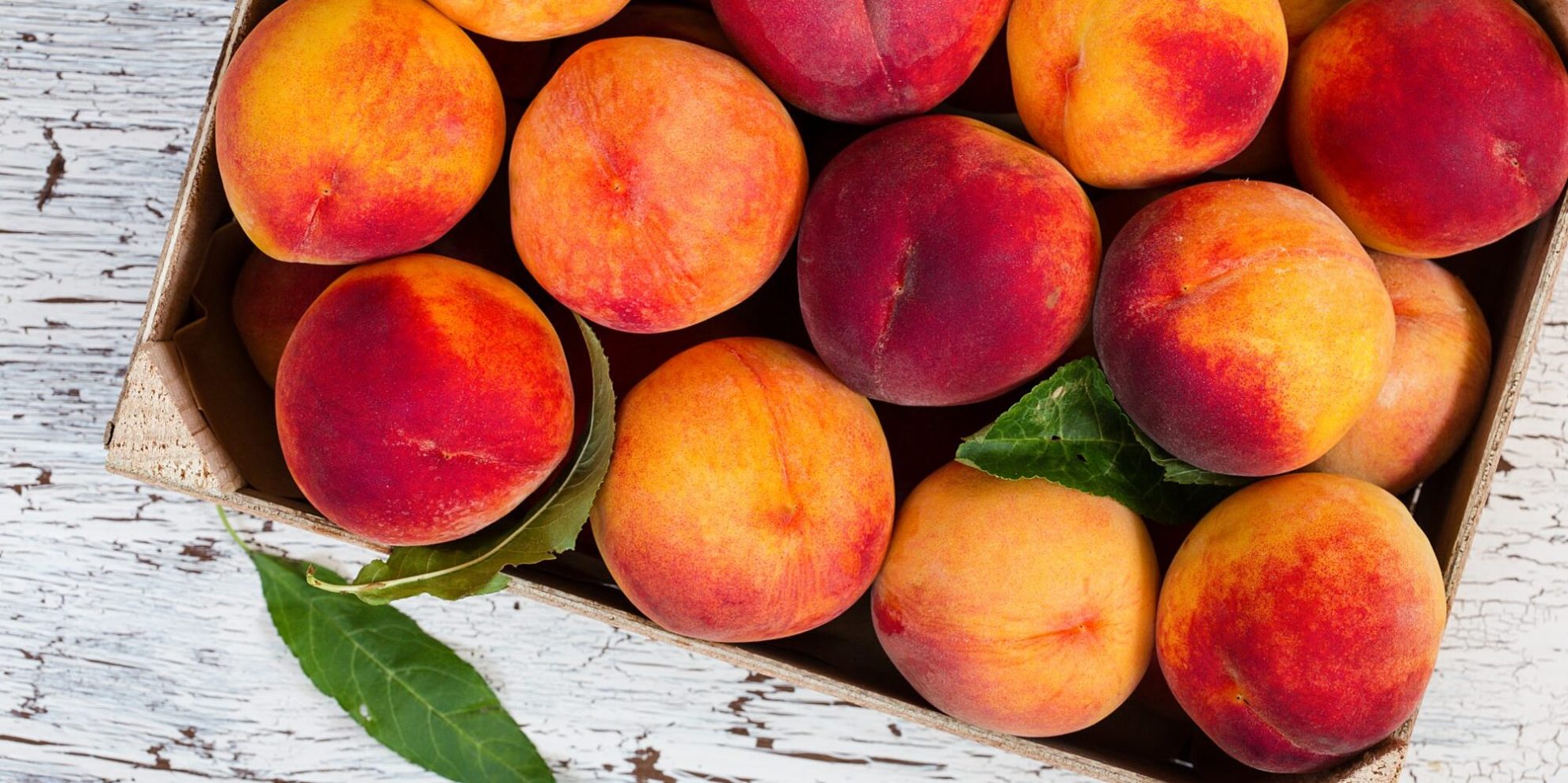 Australian Nectarines and Peaches Arrive in China by Flight - Orchard Tech