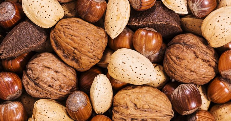 Australia’s Tree Nut Industry: The Growth and Development - Orchard Tech