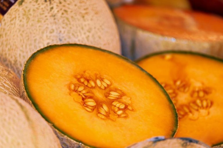 Australian Melon Industry Adopts Resilient Approach - Orchard Tech
